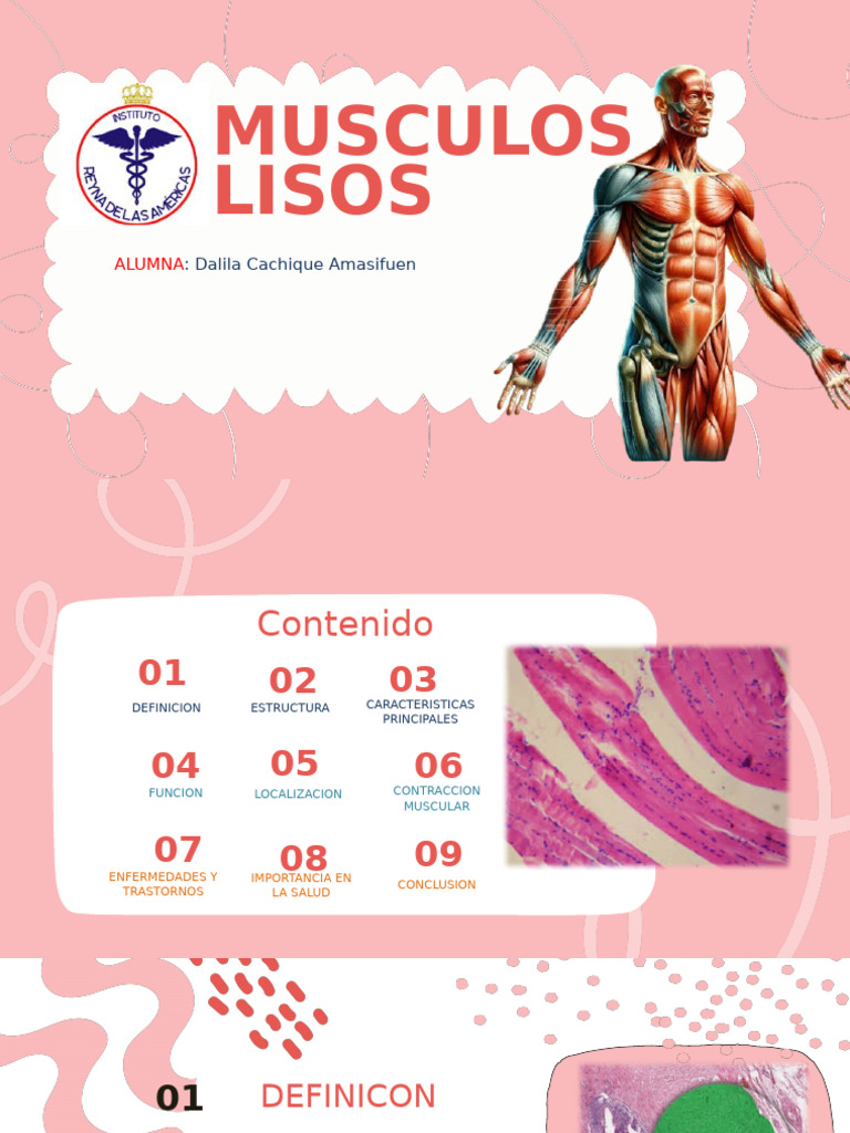 Musculos Lisos Dalila | PDF | Músculo | Contracción muscular