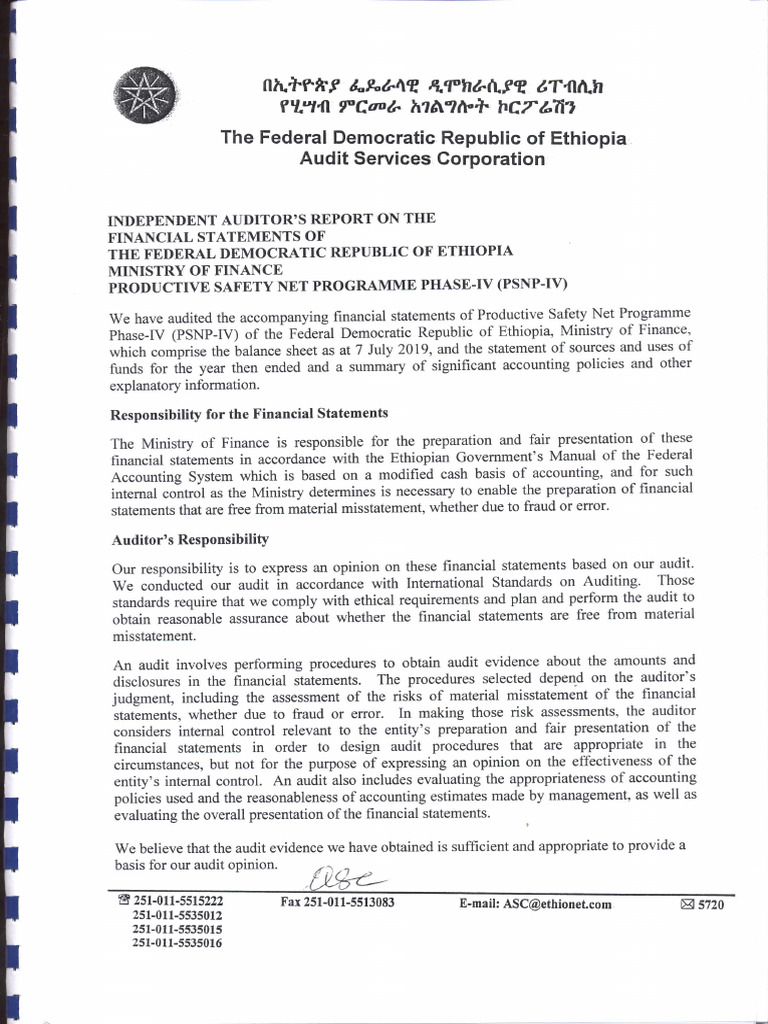 psnp_annual_annual_audit_2011efy | PDF