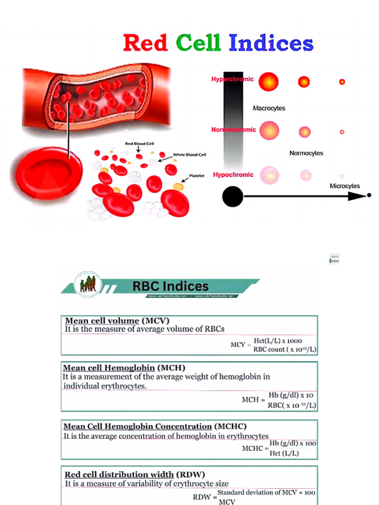 red cell indices | PDF