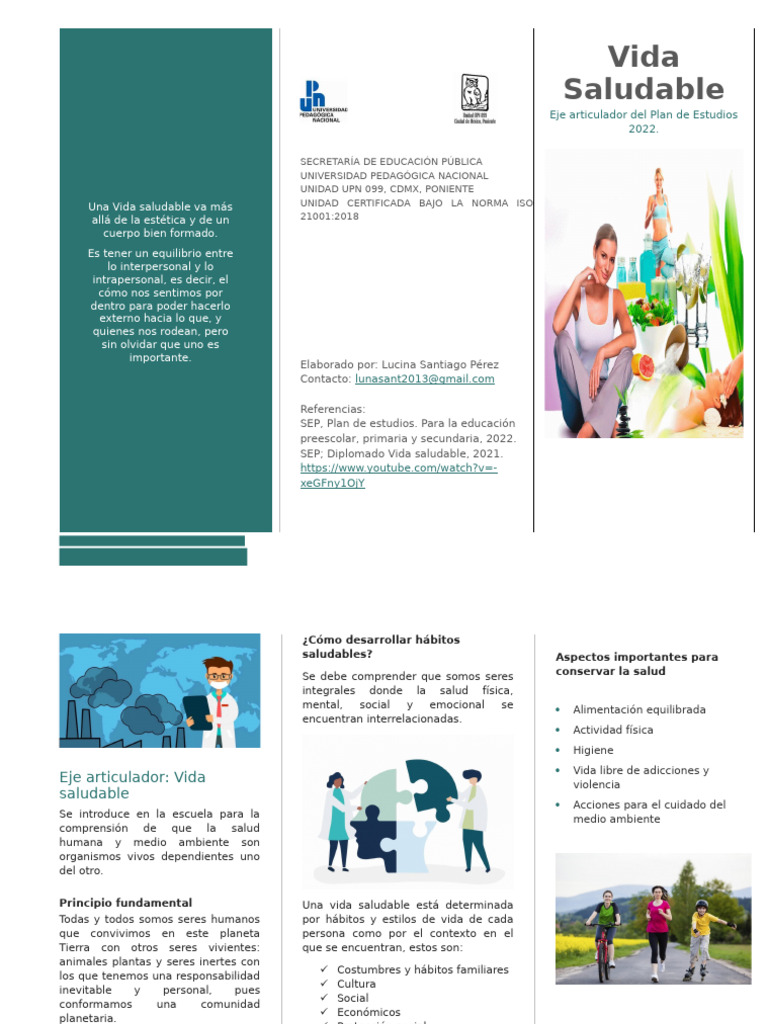 Tríptico Vida Saludable | PDF | Plan de estudios