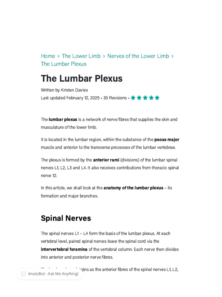 The Lumbar Plexus - Spinal Nerves - Branches - TeachMeAnatomy | PDF ...