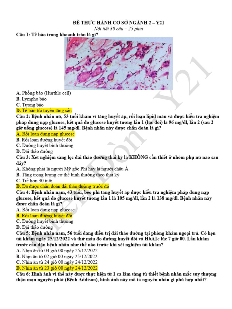 ĐỀ THỰC HÀNH CƠ SỞ NGÀNH 2 NỘI TIẾT Y21 | PDF