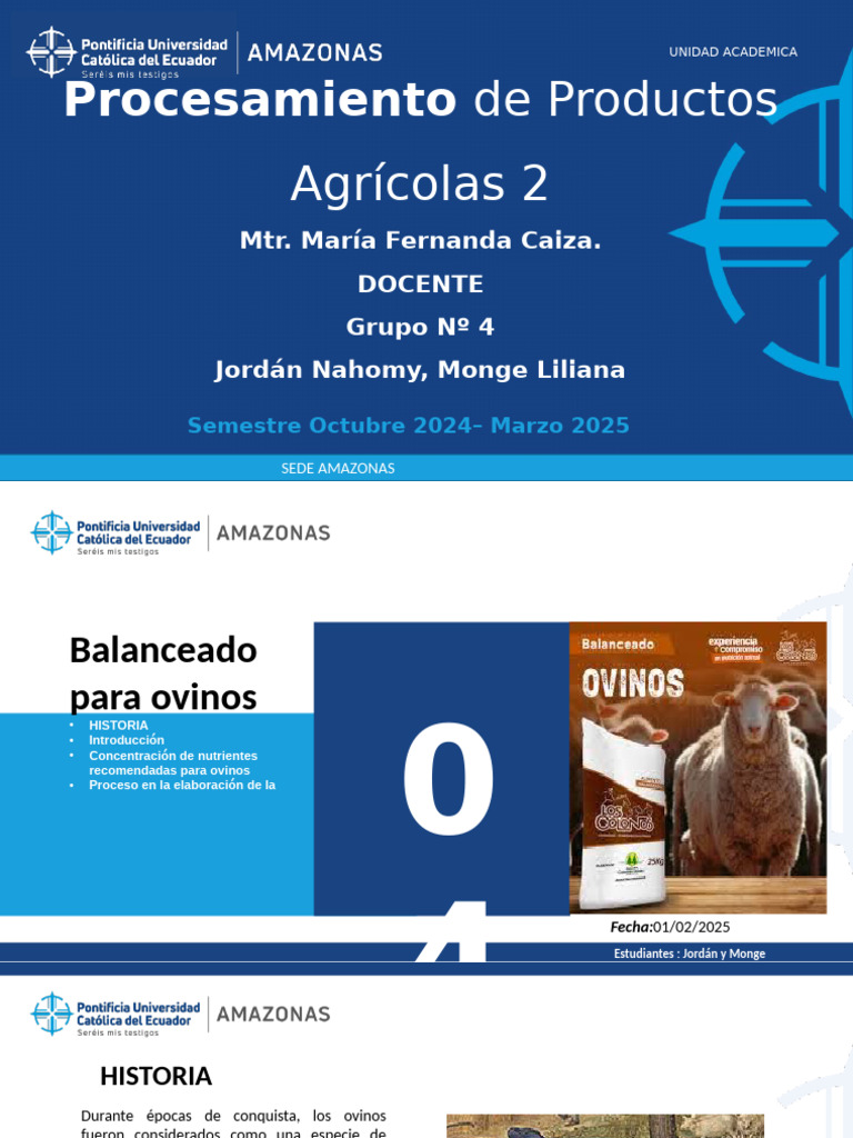 Grupo Liliana y Nahomy Balanceado para Ovinos | PDF | Oveja | Alimentos