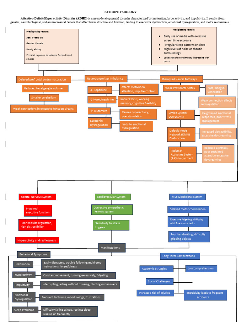 Pathophysiology of Adhd Ers | PDF | Attention Deficit Hyperactivity ...