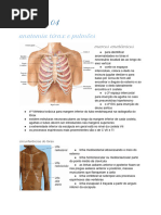 Tórax Tonel, Pectus Carinatum e Pectus Exacavatum | PDF | Doença de ...