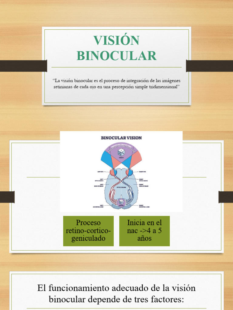 ESTRABISMO_REFRACCION | PDF | Ojo humano | Percepción visual