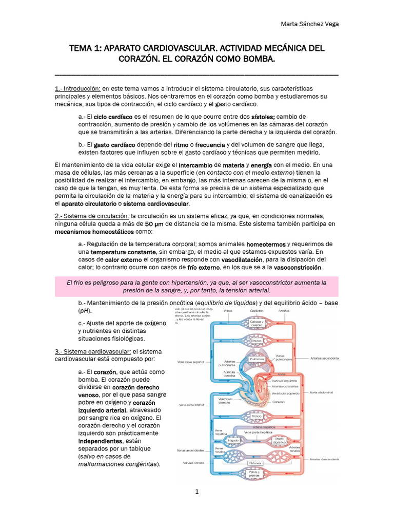 Bloque 1 Cardio | PDF | Corazón | Sistema circulatorio