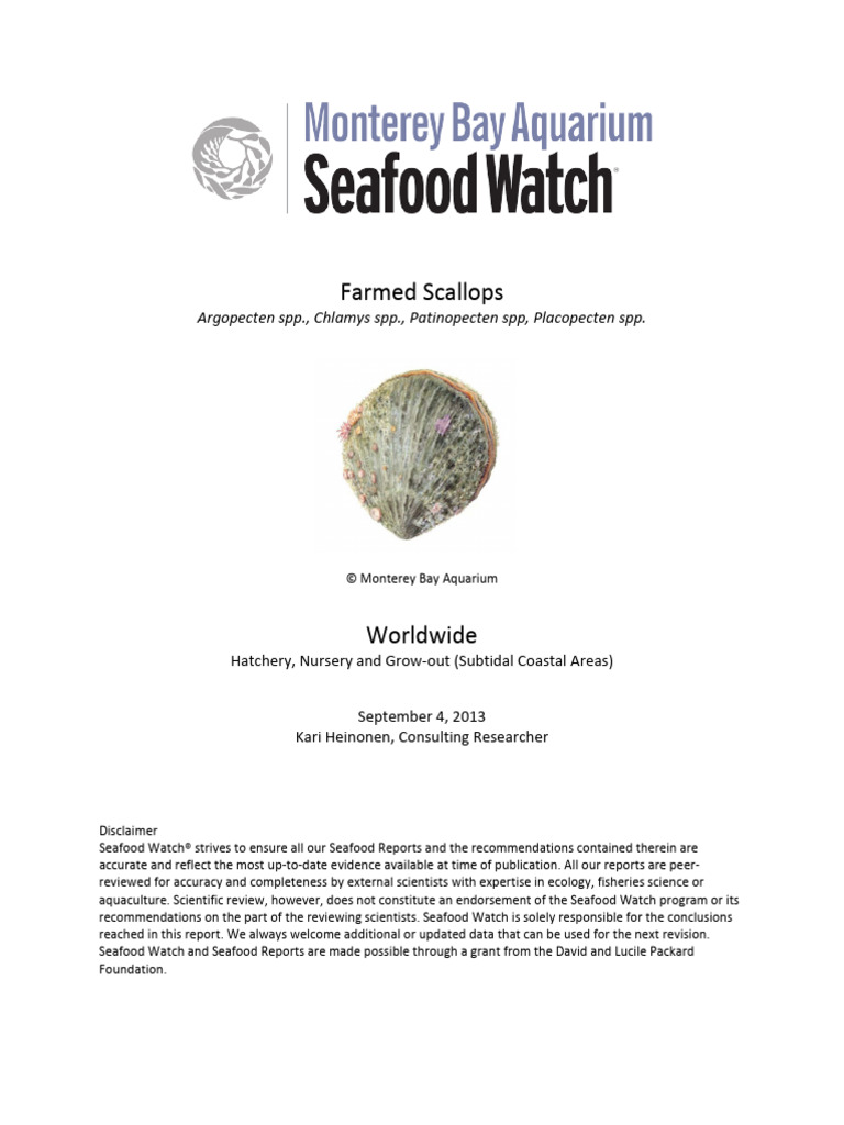 MBA_SeafoodWatch_FarmedScallopsReport1 | PDF | Aquaculture | Fishery
