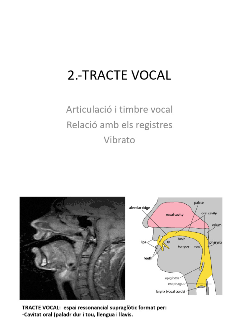 BLOC 2 TRACTE VOCAL.DEF | PDF