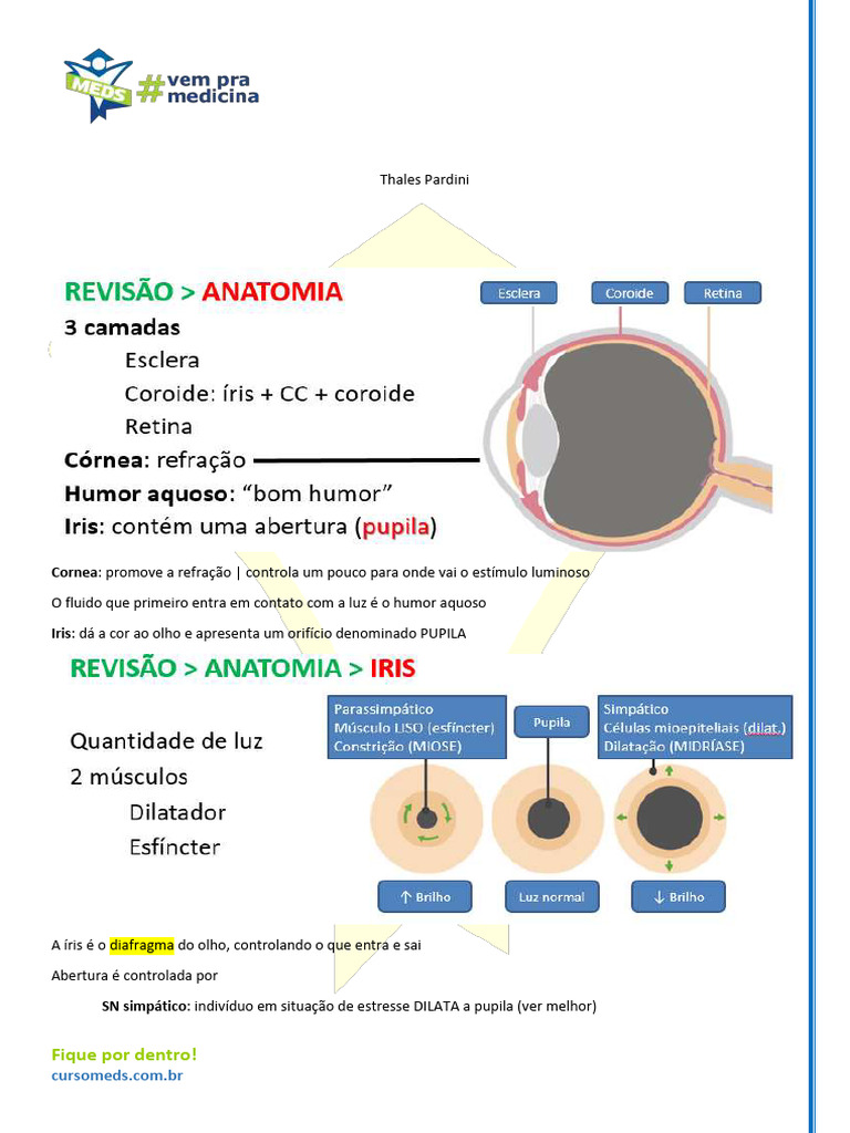 Anatomia e Fisiologia da Visão | PDF | Sistema visual | Olho