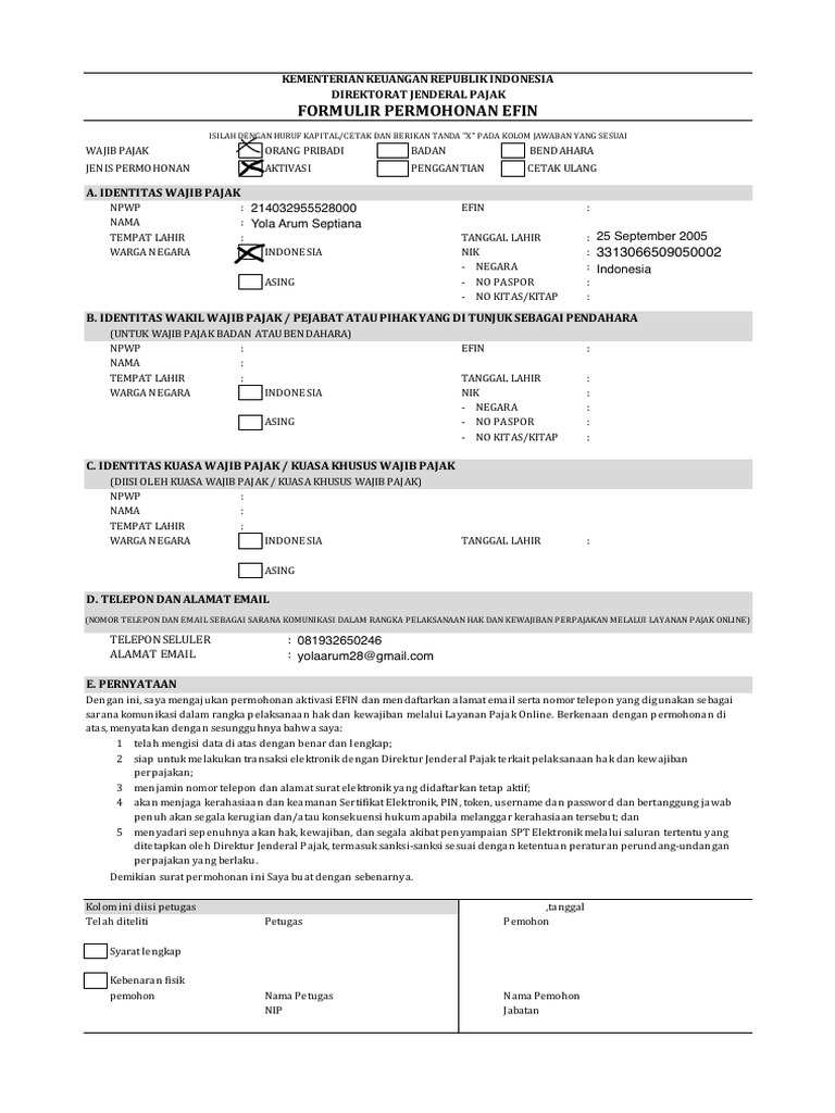 Form Permohonan EFIN (PDF Isian) | PDF