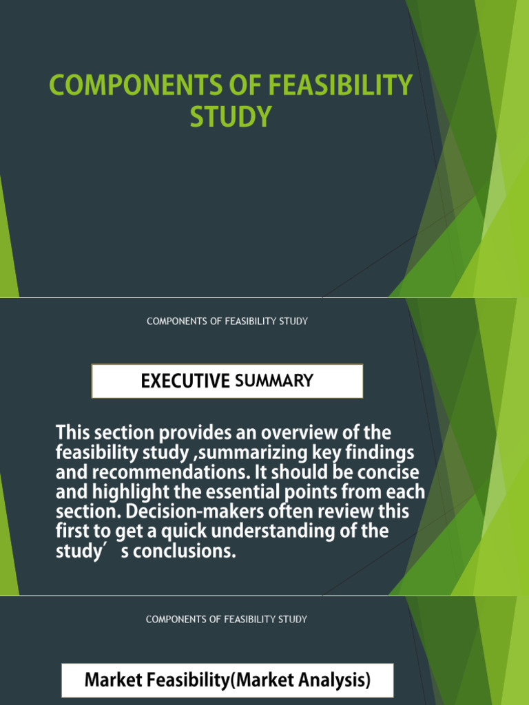 COMPONENTS-OF-FEASIBILITY-STUDY | PDF