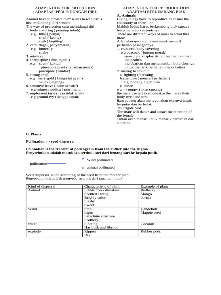 Adaptation For Protection and Reproduction | PDF | Plants | Biology