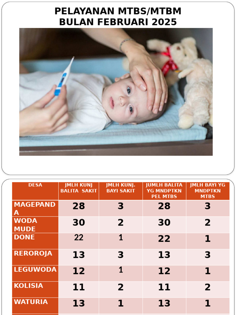 MINILOG WANTY 2025 | PDF