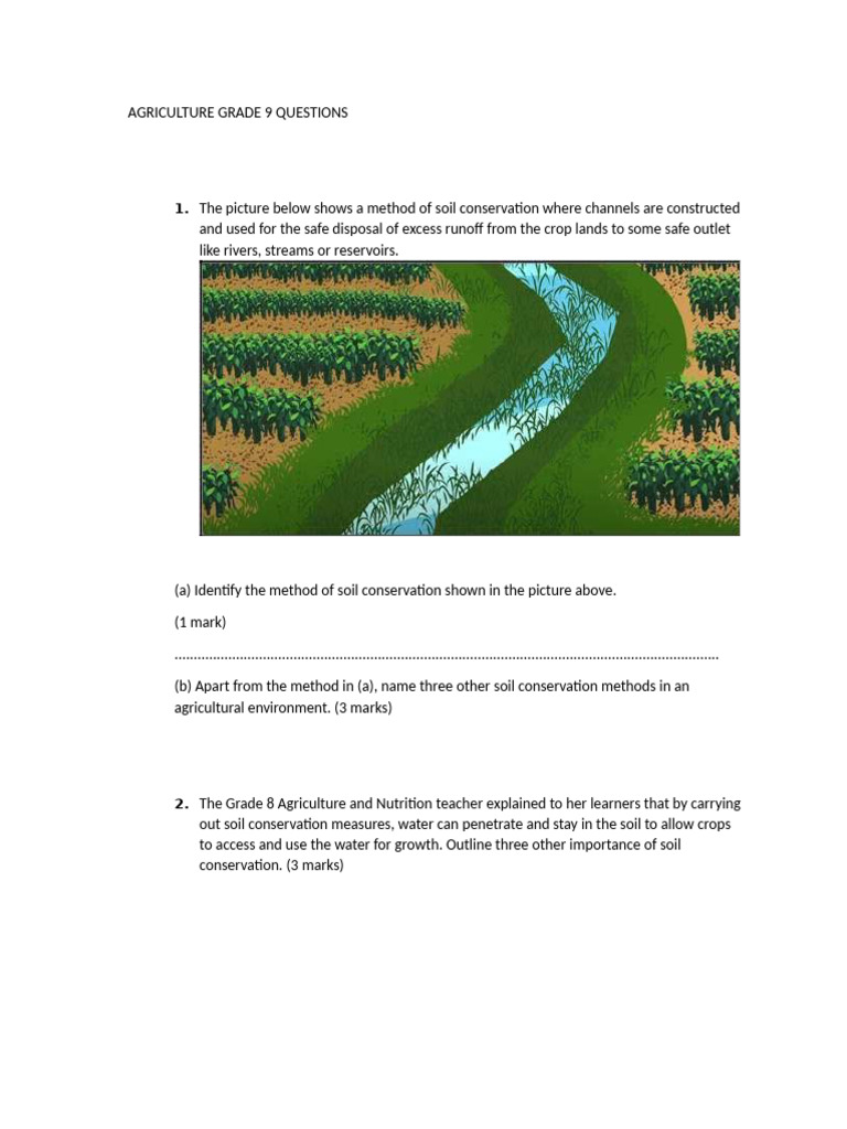 Agriculture Grade 9 Questions | PDF | Surface Runoff | Soil