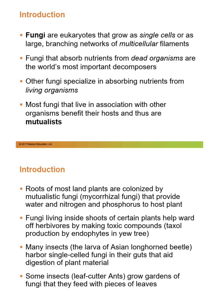 Fungi: Ecological Roles and Impacts | PDF | Fungus | Sexual Reproduction