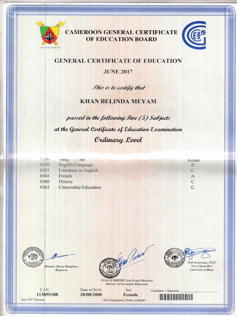Ordinary Level Certificate 2017 | PDF
