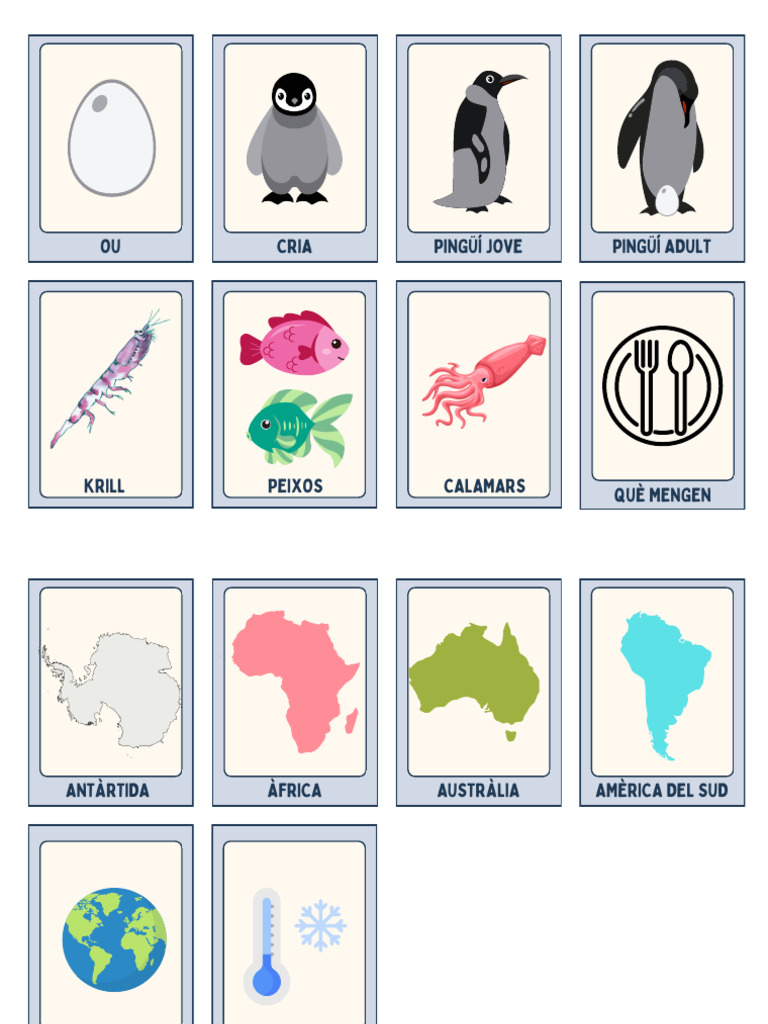 Life Cycle of a Penguin Flashcard in Gray and White Illustrative Style ...