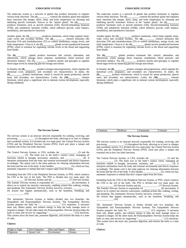 Lesson Wrap Up For Body Systems | PDF | Central Nervous System | Memory