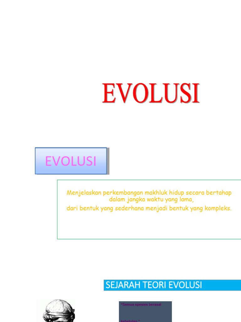 7 Evolusi | PDF
