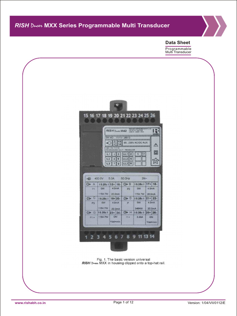 RISH Ducer MXX Series Overview | PDF | Power Supply | Digital To Analog ...