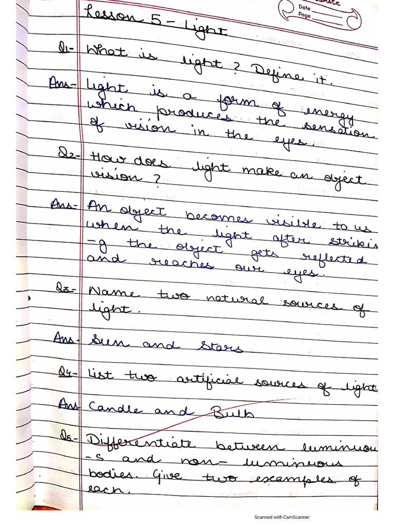 Light class 10th icse | PDF