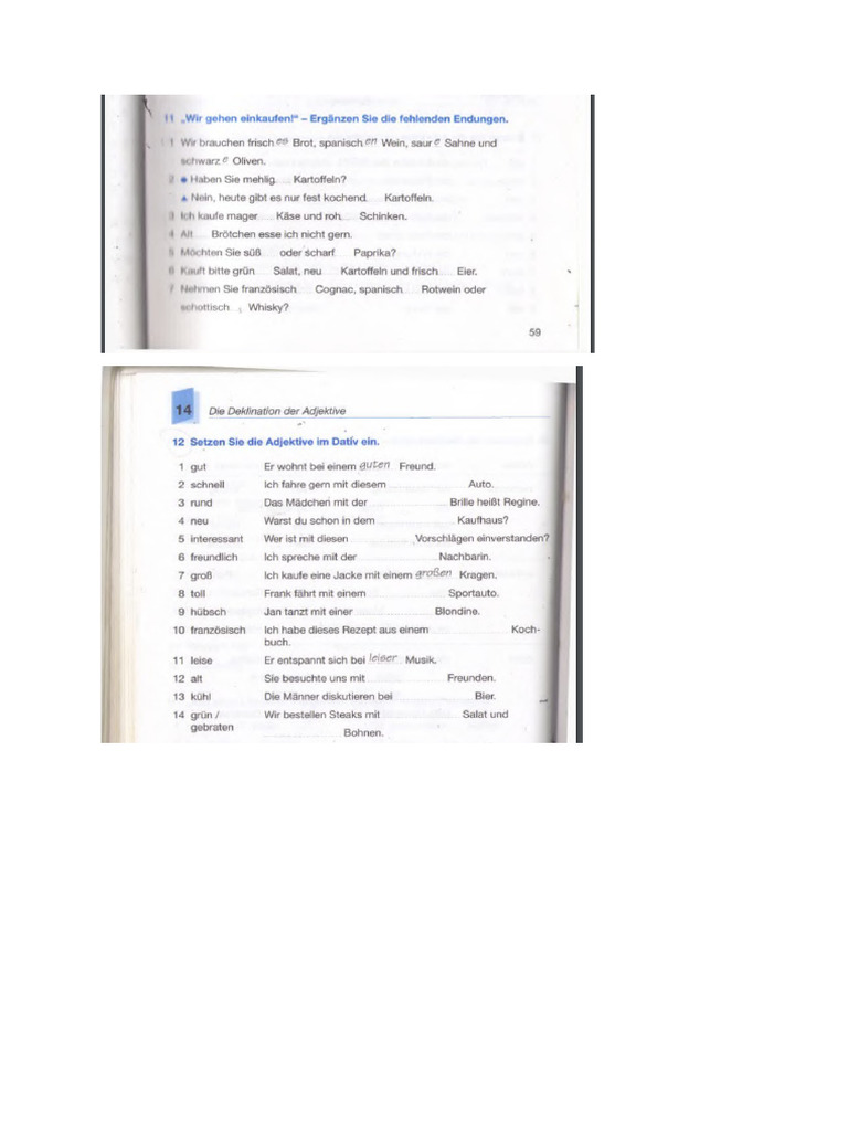 Nemski | PDF