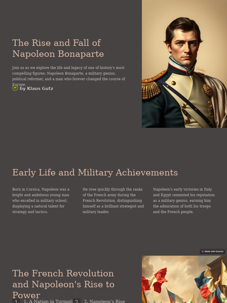 The Rise and Fall of Napoleon Bonaparte | PDF | Napoleon | First French ...