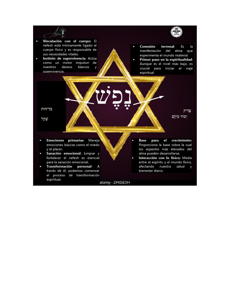 Nefesh | PDF