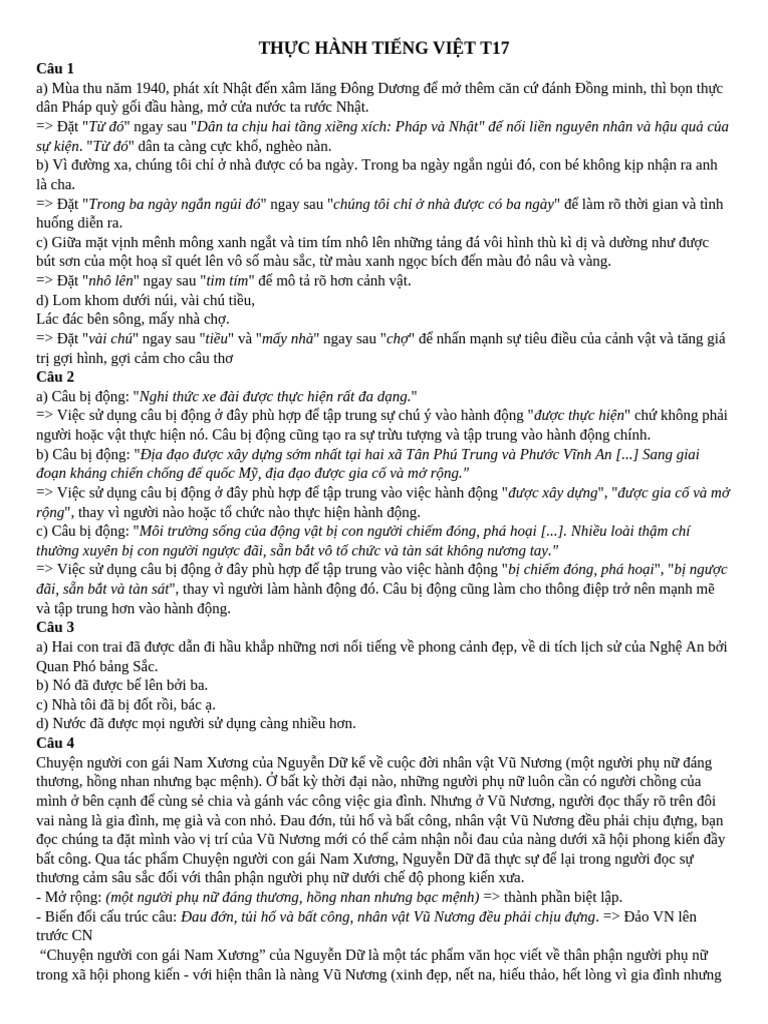 THỰC HÀNH TIẾNG VIỆT T17 | PDF