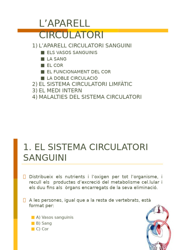L'aparell circulatori | PDF