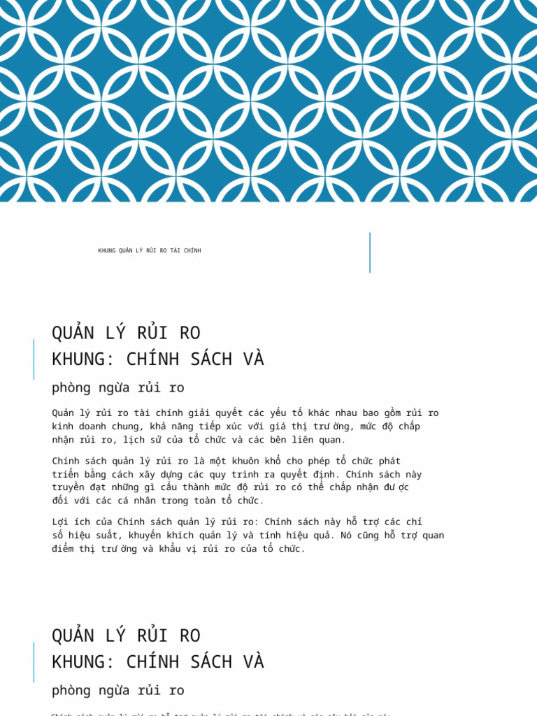 03 Financial Risk Management Framework | PDF