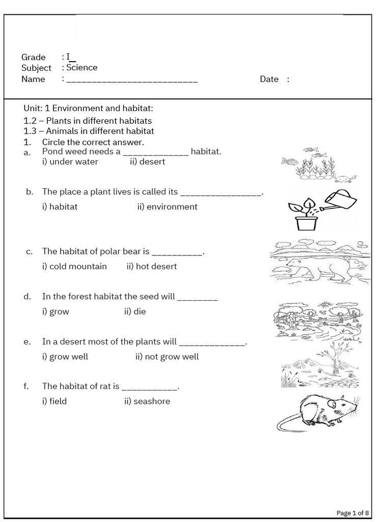 Grade 1 Primary Science Worksheet | PDF | Switch | Habitat