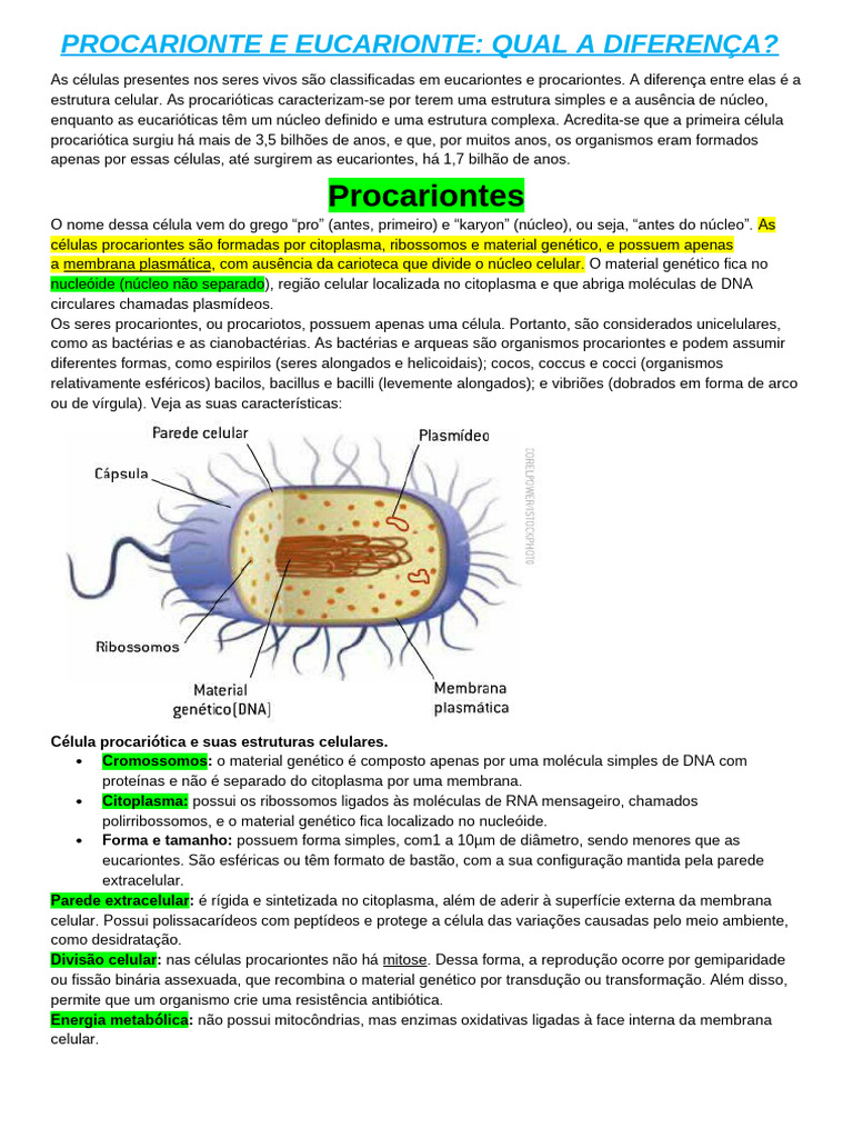 Procarionte e Eucarionte | PDF | Célula (Biologia) | Citoplasma