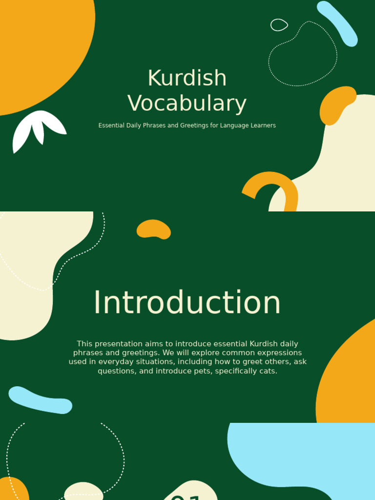 Essential Kurdish Phrases & Greetings | PDF | Cognition | Linguistics