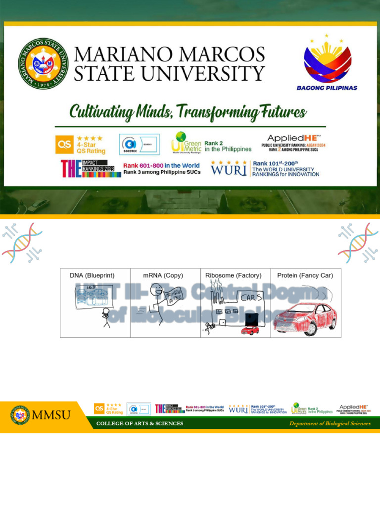 Unit 3 - The Central Dogma | PDF | Translation (Biology) | Genetic Code