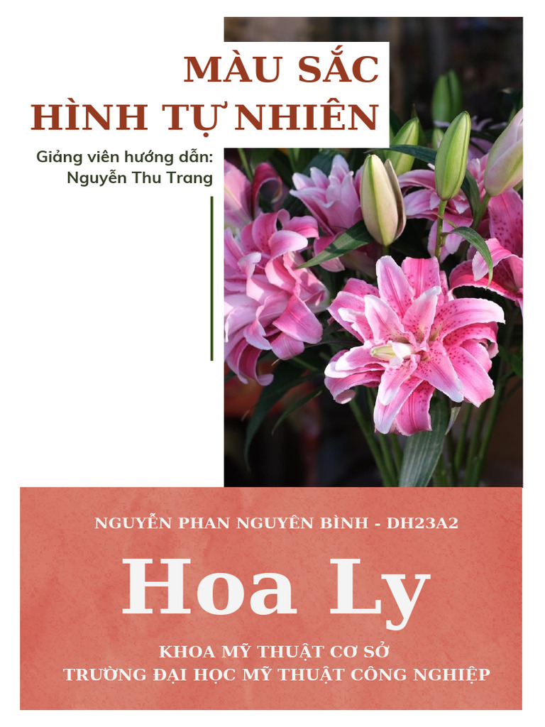 Hoa Ly | PDF