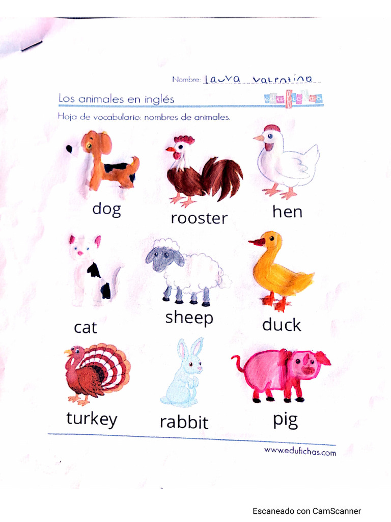 Aprendiendo Sobre Los Animales en Ingles | PDF