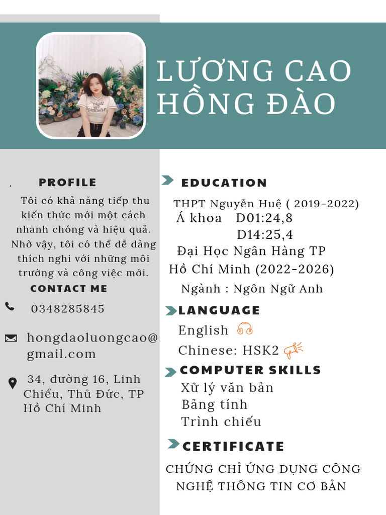 Cv Luong Cao Hong Dao | PDF