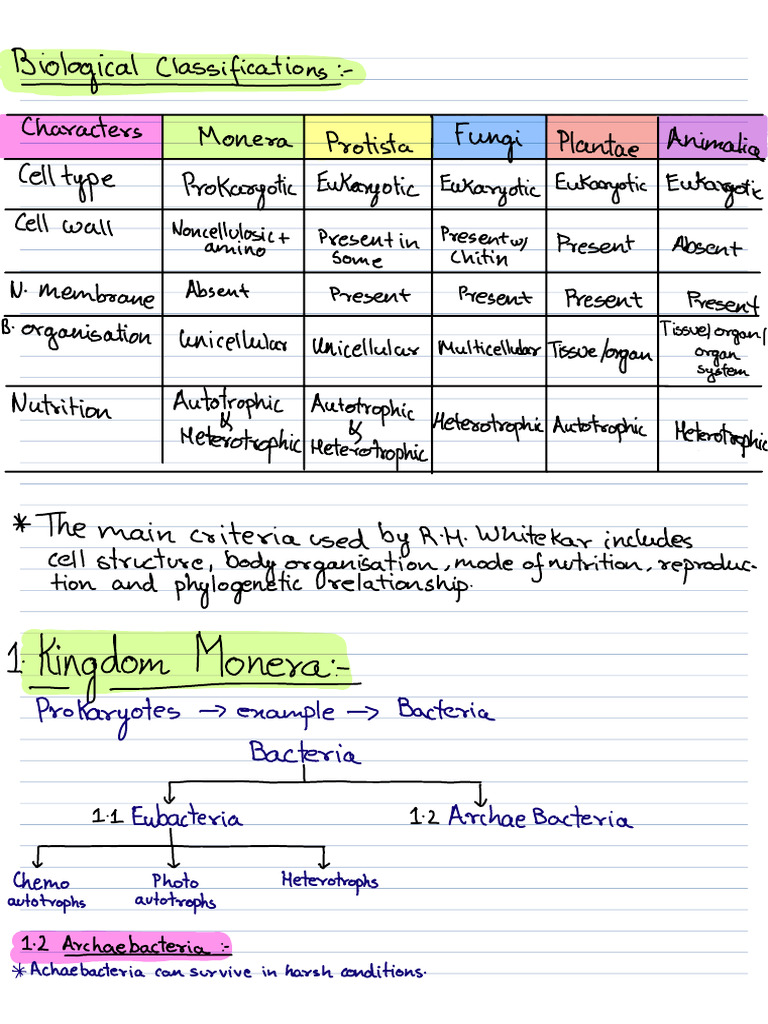Biological Classifications Notes | PDF | Biology | Organisms