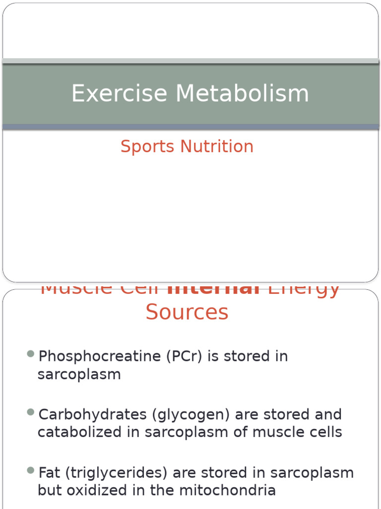 Energy Systems in Exercise Metabolism | PDF | Adenosine Triphosphate ...