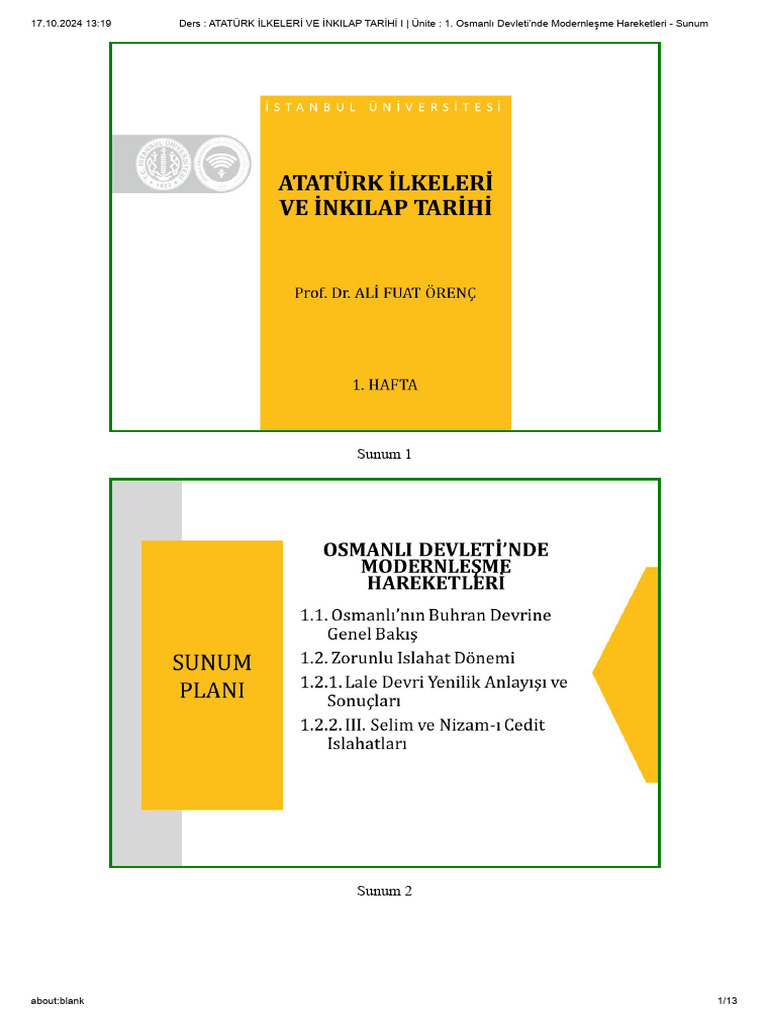 Sunum 1 | PDF