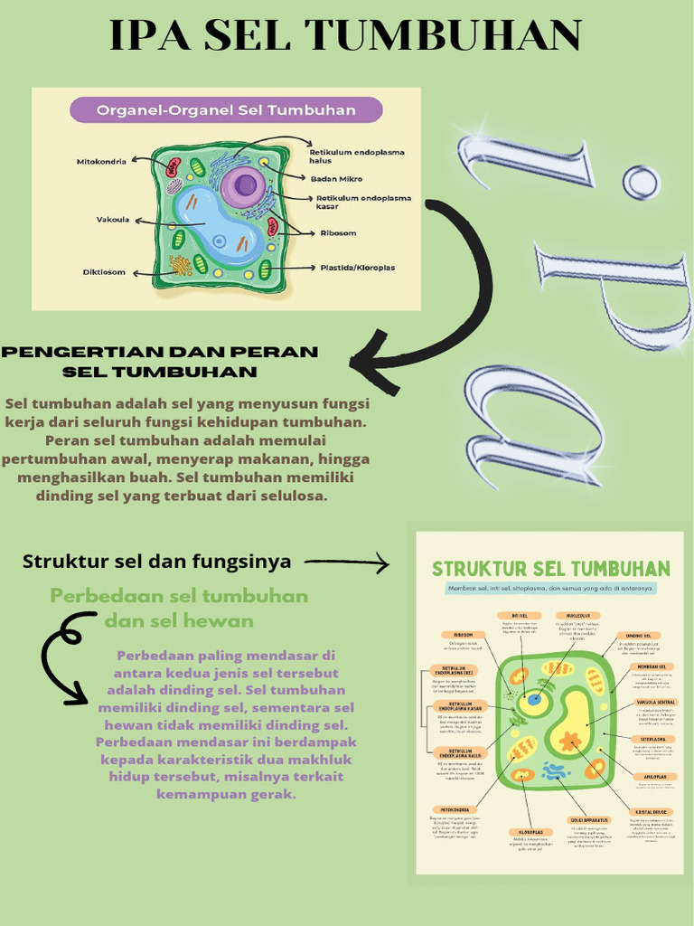 Ipa Sel Tumbuhan - 20230828 - 103944 - 0000 | PDF