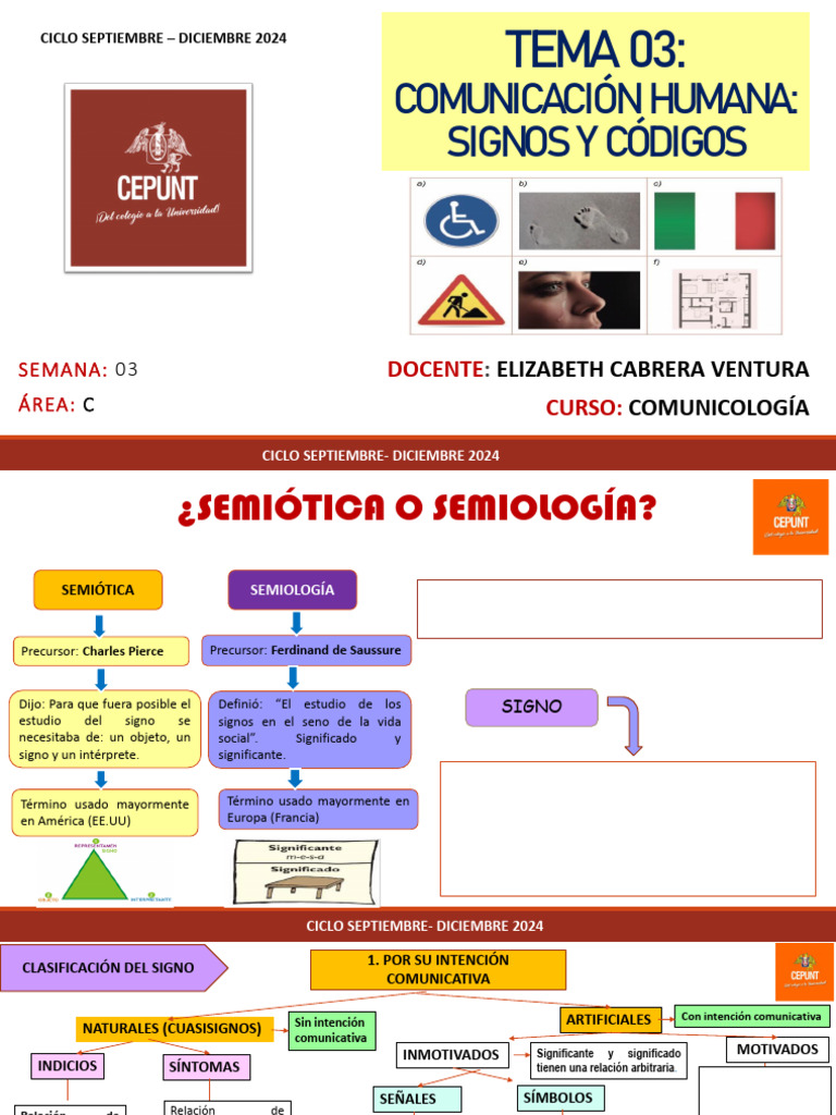 Tema III Códigos y Signos | PDF | Semiótica | Lingüística