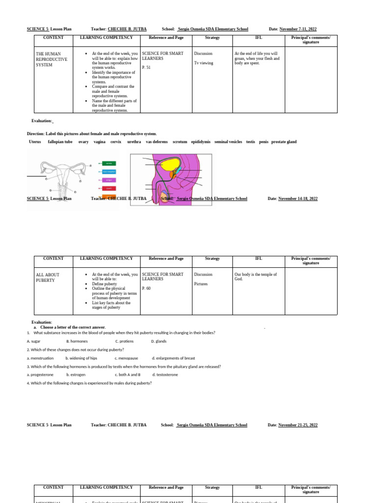 Human Reproductive System Lesson Plan | PDF | Menstrual Cycle | Human ...