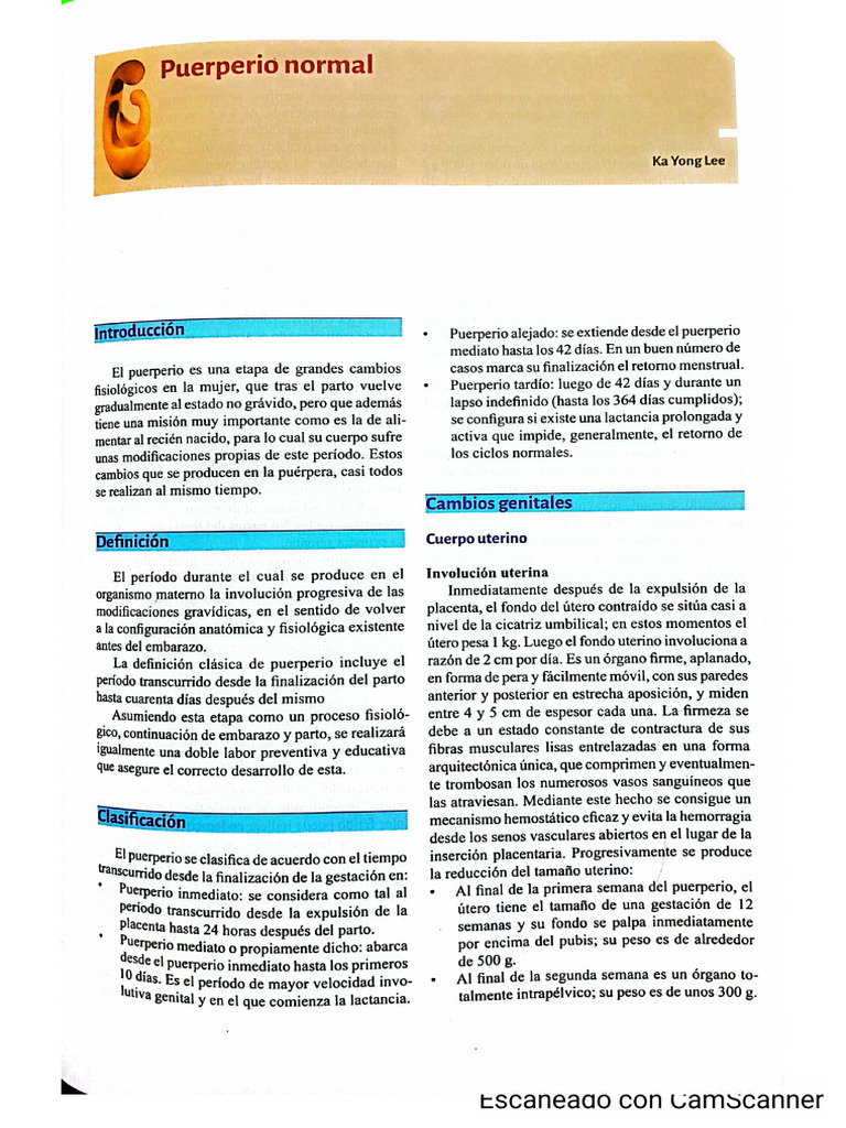 PUERPERIO NORMAL | PDF