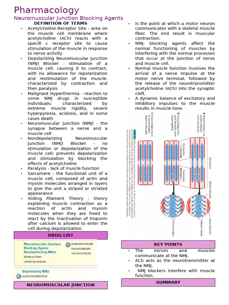 Drugs Acting On The Peripheral And Central Nervous System p10 | PDF | Neuromuscular Junction ...