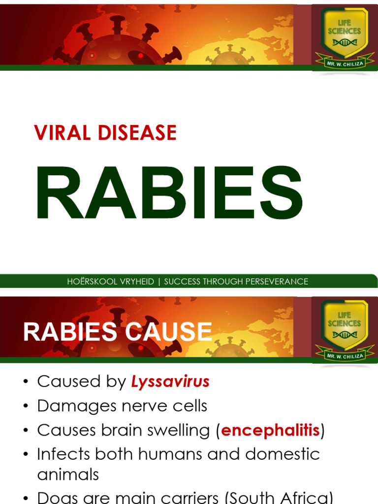 LFSC11 - 01.6 Rabies. | PDF