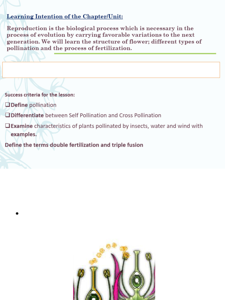 Pollination | PDF | Flowers | Pollination