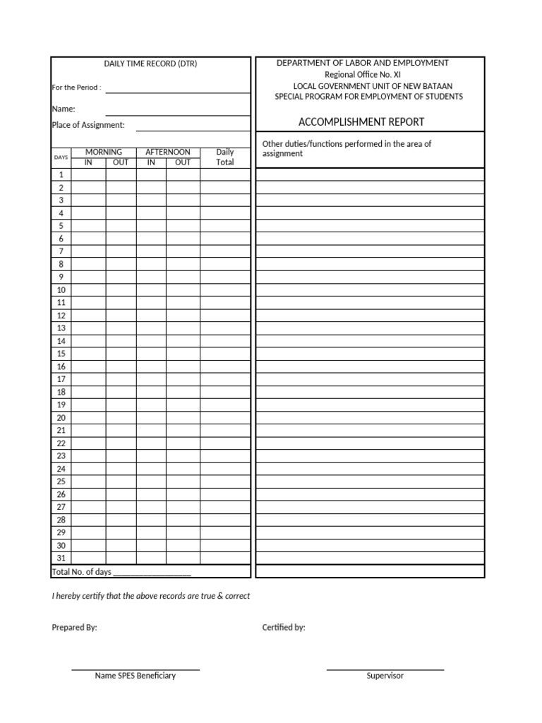 SPES DTR Accomplishment-2024 | PDF